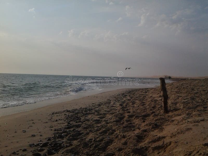 Dorob National Park, Swakopmund, Namibia Stock Image - Image of park ...