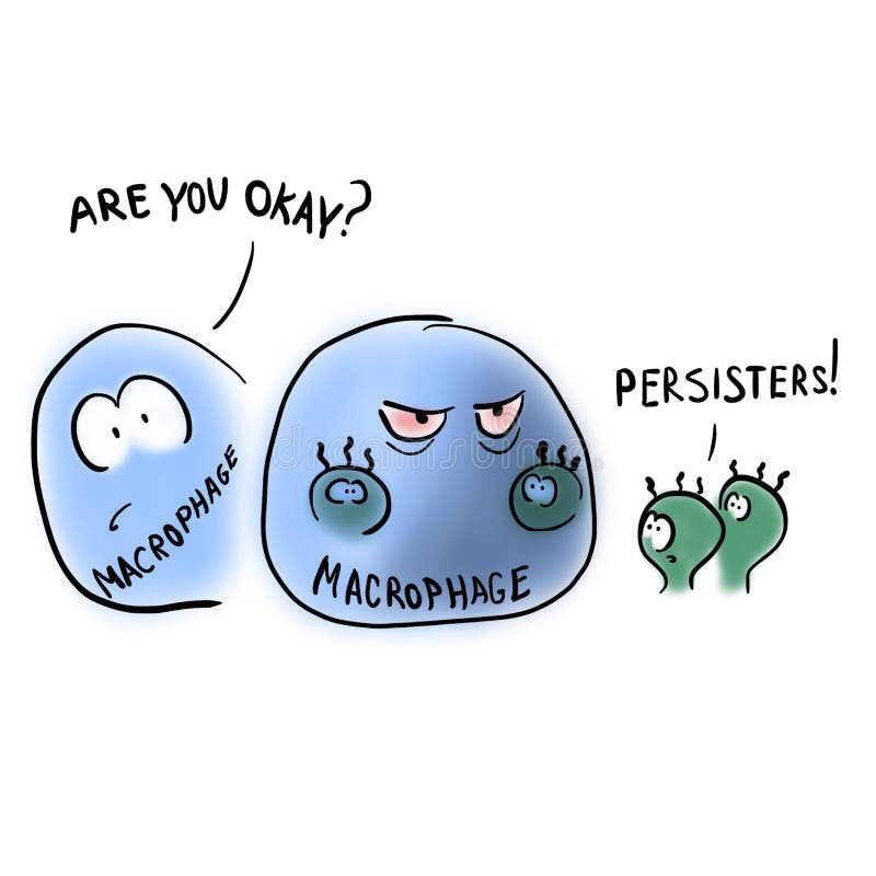 Macrofago Ilustraciones Stock, Vectores, Y Clipart – (1,471 ...