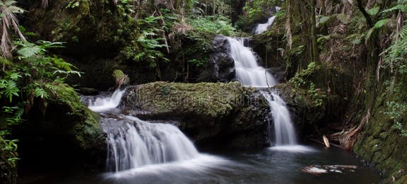 Dos cascadas en selva imagen de archivo. Imagen de hawai - 21456605