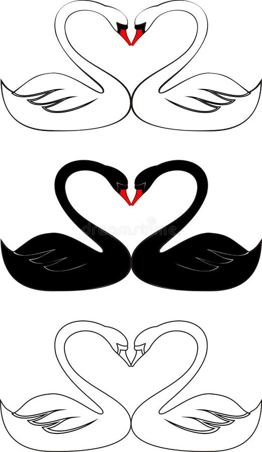 Dos cisnes ilustración del vector. Ilustración de aislado - 12687851