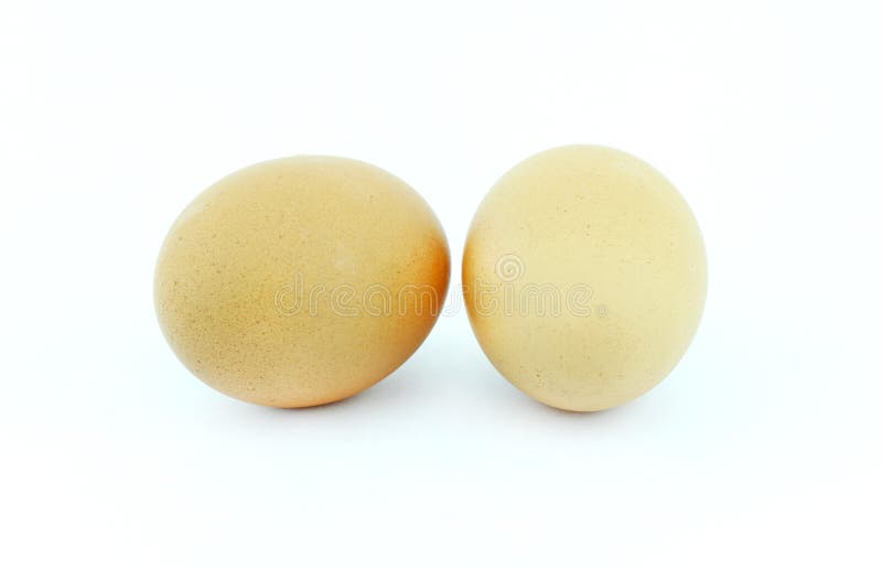 Dos huevos foto de archivo. Imagen de cocina, grupo, vida - 30260854