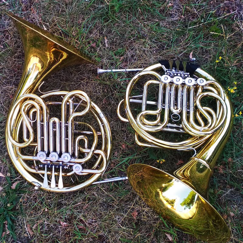 Dos Instrumentos Musicales De Cuerno Sobre Hierba Imagen de archivo ...