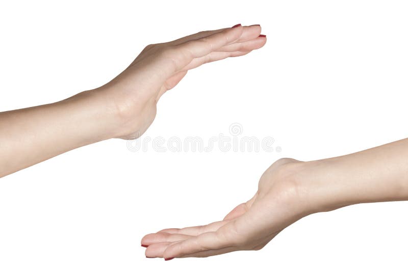 Dos Manos Aisladas En El Fondo Blanco Imagen de archivo - Imagen de ...