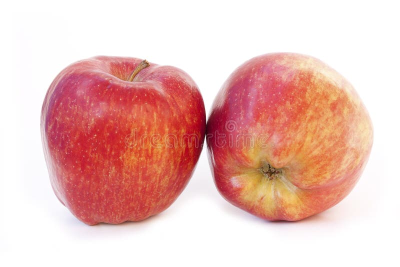 Dos manzanas foto de archivo. Imagen de cena, fruta, truncamiento ...