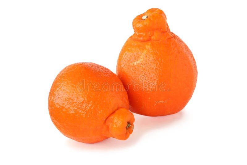 Dos Mineolas Aisladas En Blanco Foto de archivo - Imagen de pomelo ...