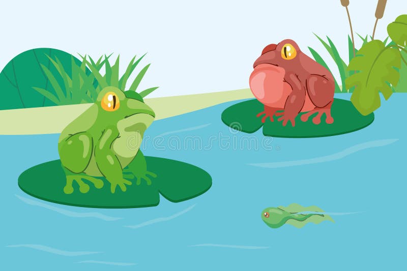 Dos ranas en el lago ilustración del vector. Ilustración de salvaje ...