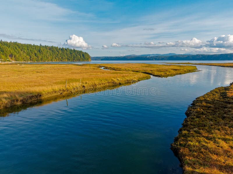 Dosewallips River stock image. Image of horizon, wetland - 91525587