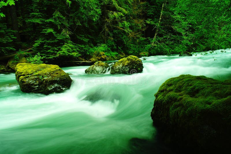Dosewallips river. stock photo. Image of green, flowing - 48455472