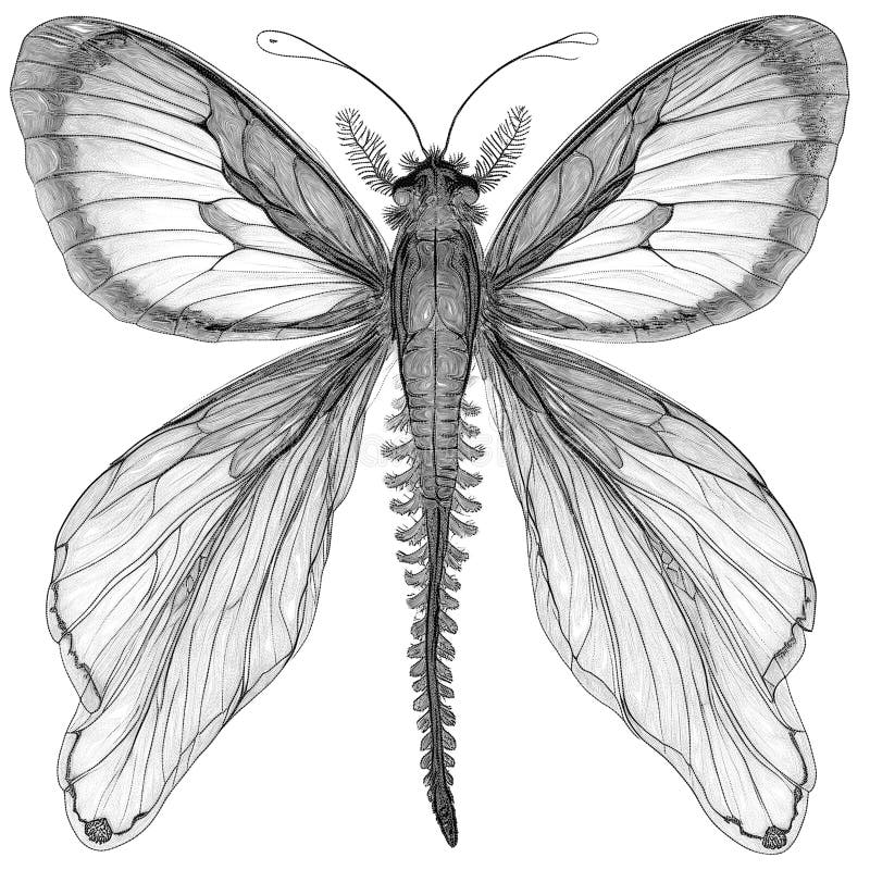 Dot Matrix of Life stock illustration. Illustration of draftsmanship ...