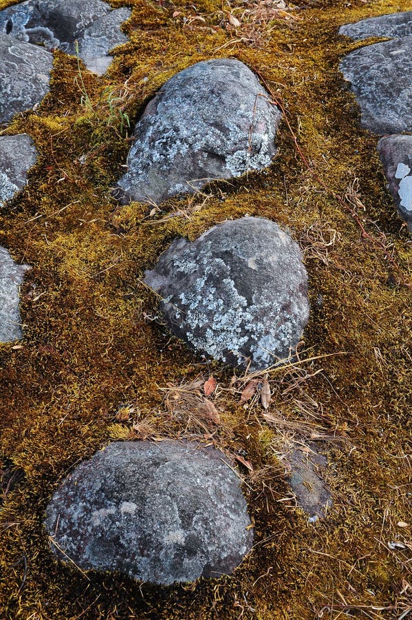 Dot rock stock photo. Image of geologist, geology, destination - 91048872