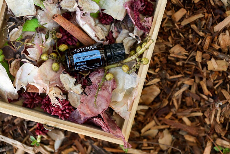 Doterra Essential Oils in Natural Setting Editorial Image - Image of ...