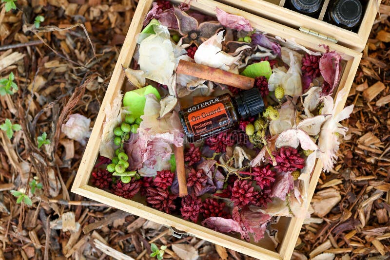 Doterra Essential Oils in Natural Setting Editorial Photography - Image ...