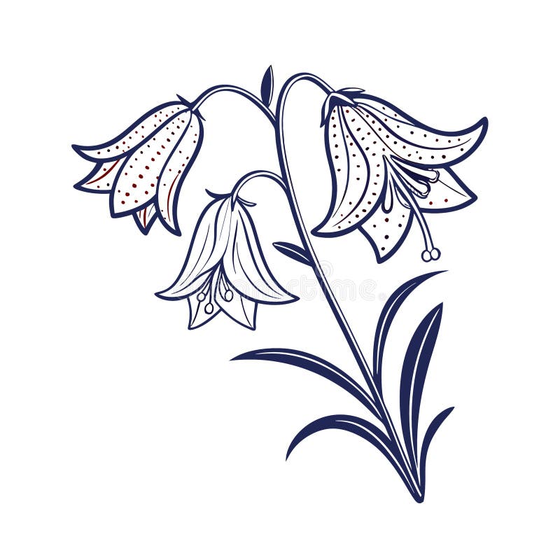 Dotted Bellflower Bold Outline Design Stock Illustrations – 10 Dotted ...