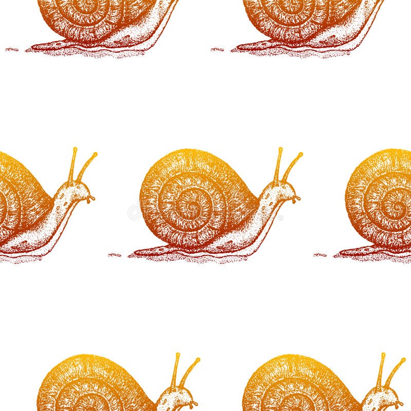 Dotwork Snail Slippery Seamless Pattern Stock Vector - Illustration of ...