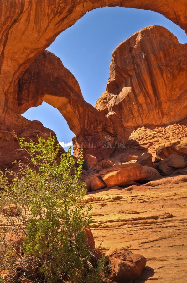 Double Arch stock photo. Image of orange, delicate, beauty - 20397978