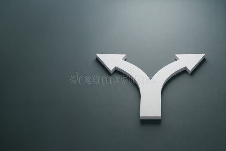 The Double Arrow Indicates Two Different Paths at the Fork. Space for ...