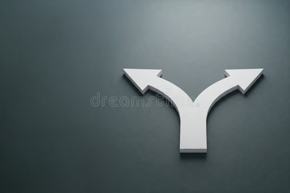 The Double Arrow Indicates Two Different Paths at the Fork. Space for ...
