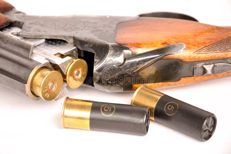 Double barrel shotgun stock photo. Image of polished - 12419052