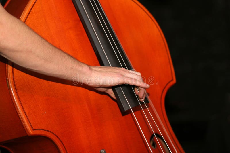 Double Bass stock photo. Image of play, harmony, cello - 33928354