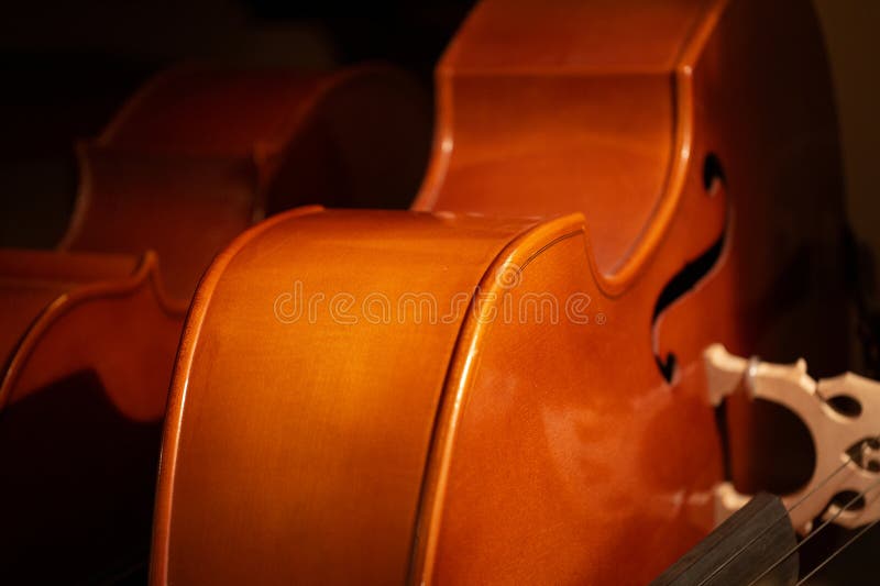 Two double bass close up stock image. Image of music - 304159181