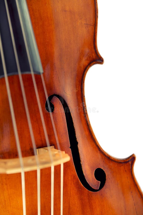Double bass stock photo. Image of detail, stringed, bassist - 159246240