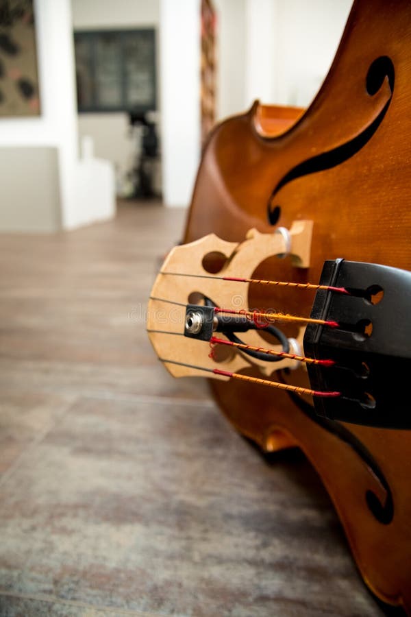 Dpule Stock Photos - Free & Royalty-Free Stock Photos from Dreamstime