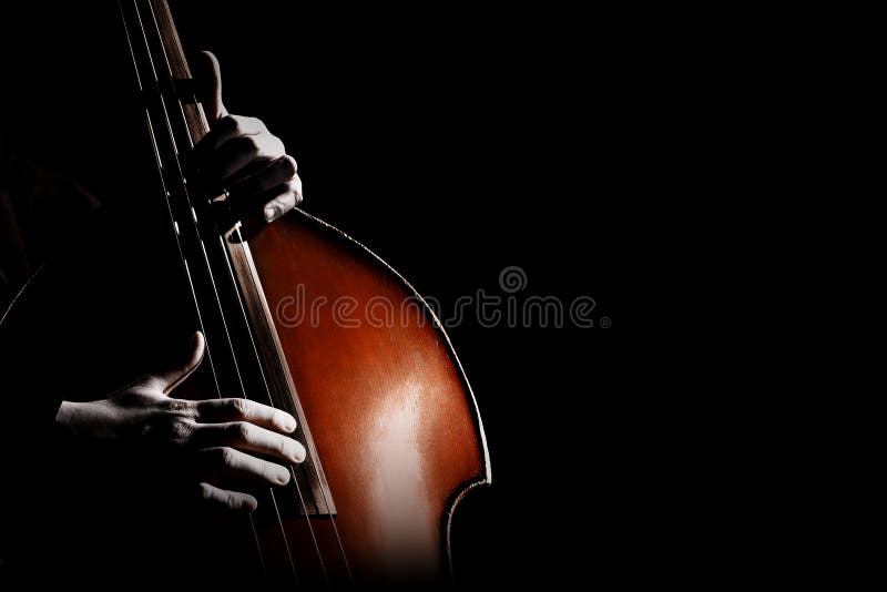 Cello Musical Instruments Isolated on White Stock Image - Image of ...