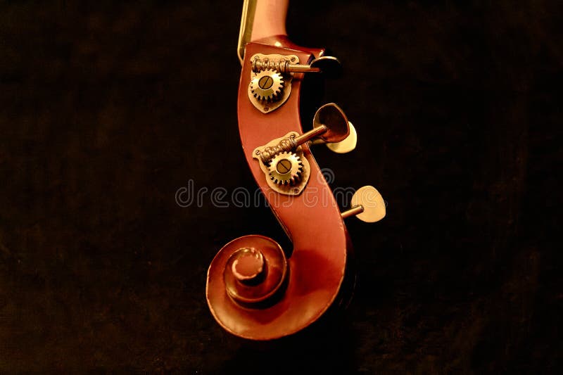 Double Bass Head from a Decorative Scroll and a Peg Box with Pegs Stock ...