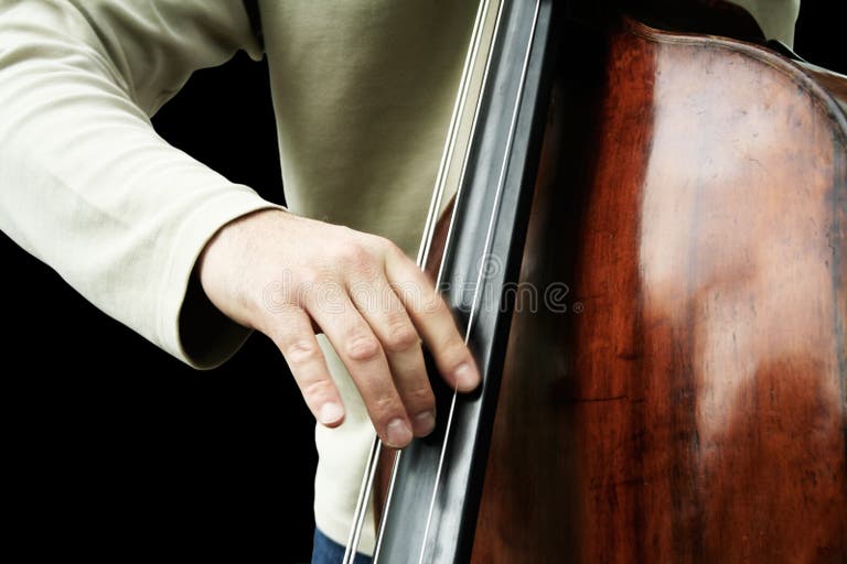 2,125 Bass Fiddle Stock Photos - Free & Royalty-Free Stock Photos from ...