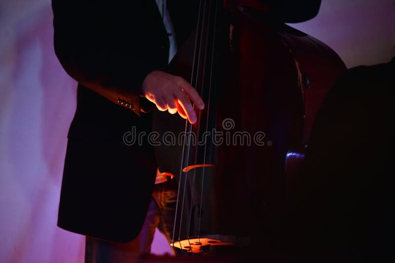Double Bass Player Fingers Playing on Instrument Strings Stock Image ...