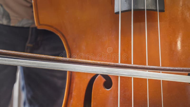 Double Bass Player Player. Double Bass Player Hands Playing Double Bass ...