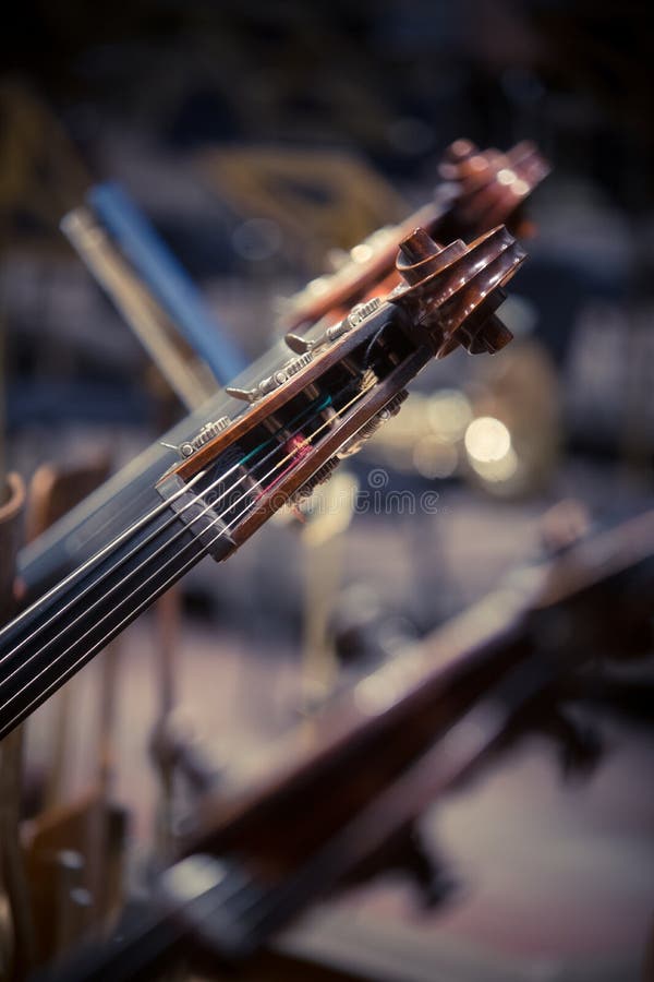 Double Bass Scroll and Tuning Pegs Stock Photo - Image of brass ... Double Bass Scroll and Tuning Pegs Stock Photo - Image of brass ...