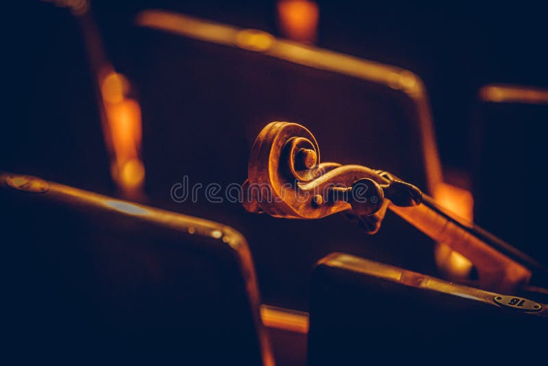 Double Bass Scroll and Tuning Pegs Stock Image - Image of acoustic ...