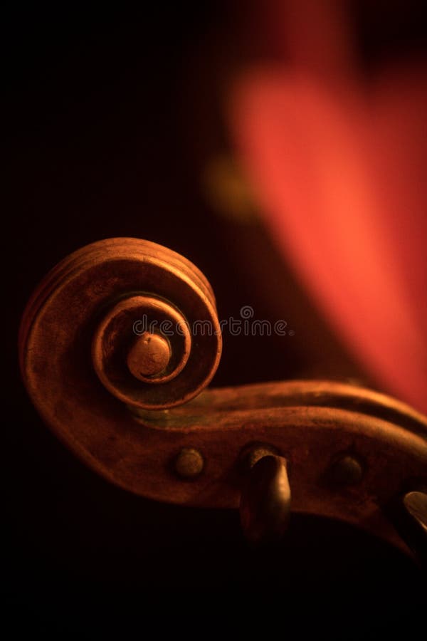 Double Bass Scroll and Tuning Pegs Stock Photo - Image of retro, sound ... Double Bass Scroll and Tuning Pegs Stock Photo - Image of retro, sound ...