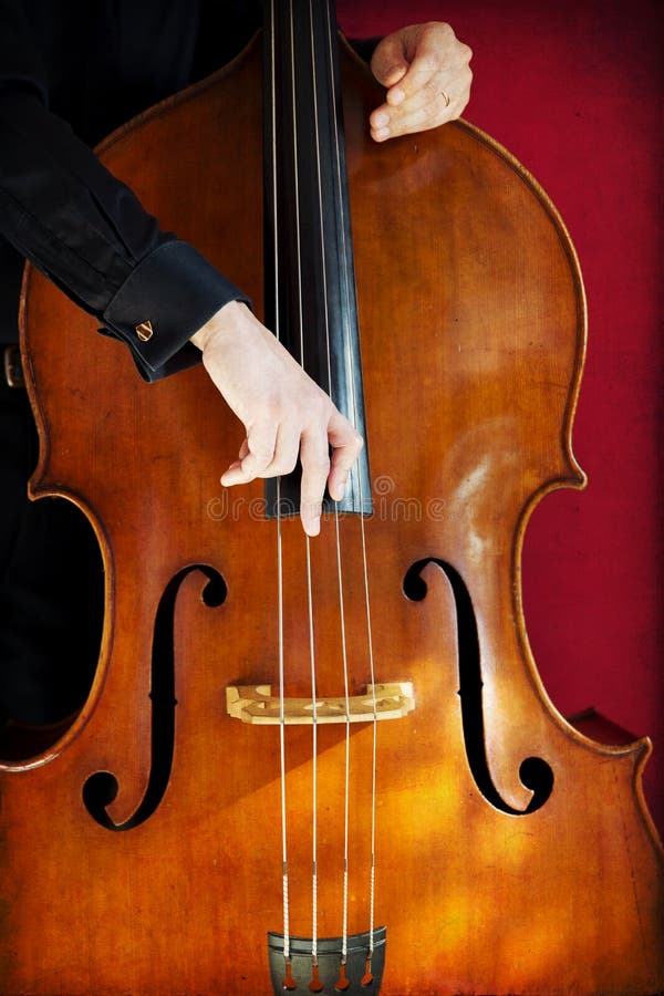 Double bass stock photo. Image of bassist, instrument - 159250416