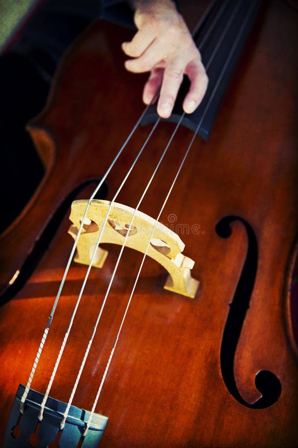 Double bass stock image. Image of bassist, stringed - 159250487