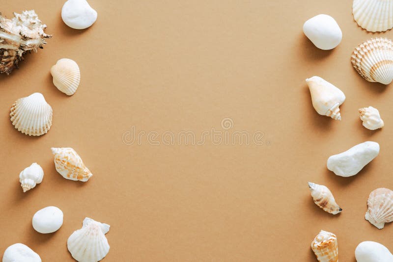 Double Sea Shells Horizontal View Stock Image - Image of tropical ...