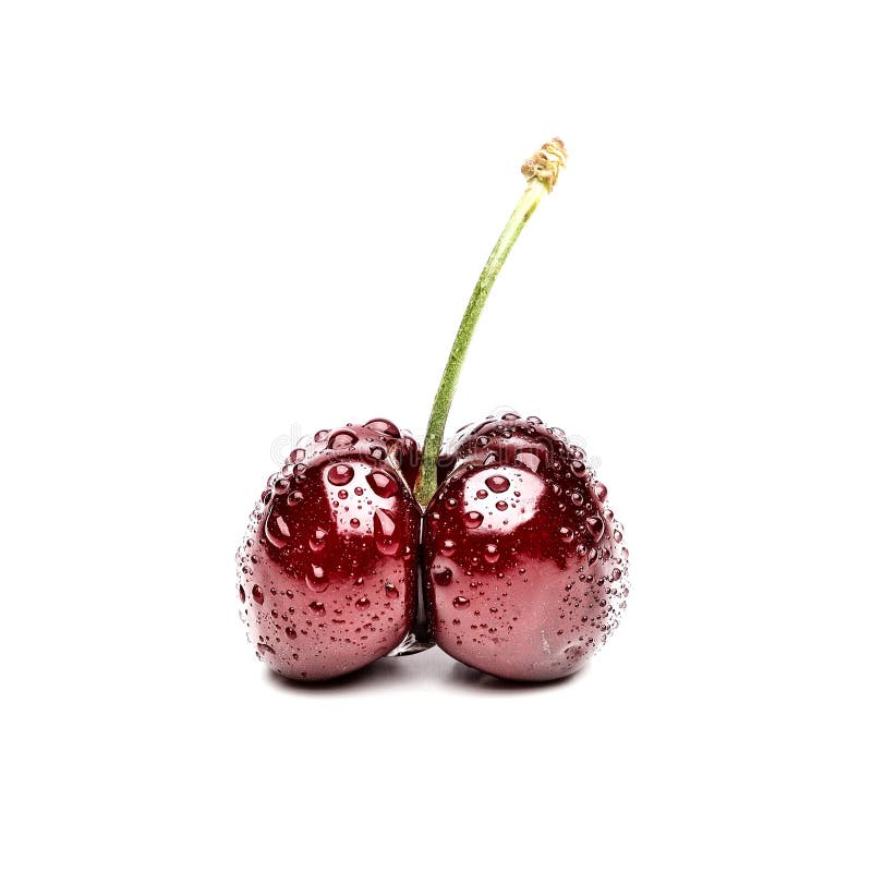 14,704 Pulpy Stock Photos - Free & Royalty-Free Stock Photos from ...