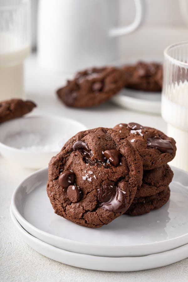 Double Chocolate Cookies with Flaky Salt on a Plate Stock Image - Image ...