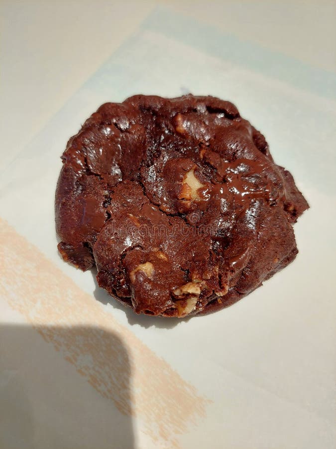 Double Chocolate Pecan Walnut Cookie. Stock Photo - Image of chocolate ...