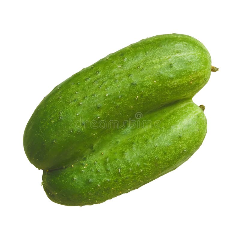 Twin cucumber isolated stock photo. Image of fresh, salad - 20100800