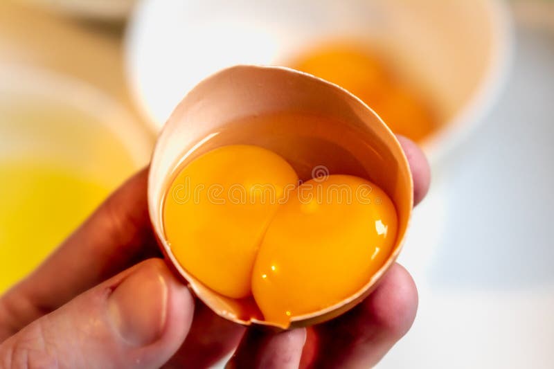 Double egg yolk in an egg stock image. Image of nutrition - 345064573
