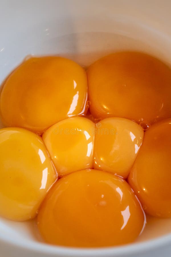 Double egg yolk in an egg stock photo. Image of healthy - 345064724