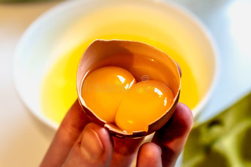 Double egg yolk in an egg stock image. Image of cholesterol - 358327845