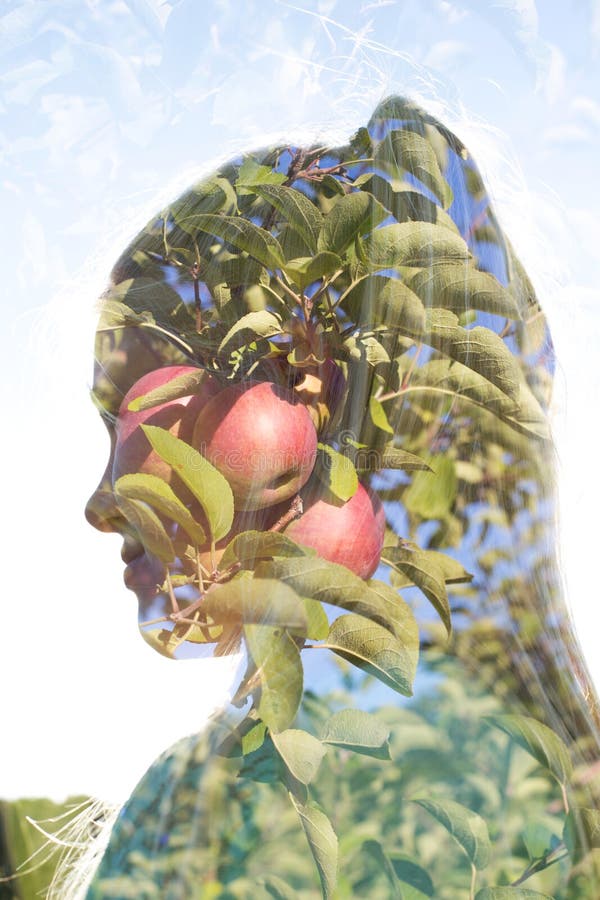 Double exposure stock image. Image of exposure, surreal - 62328201