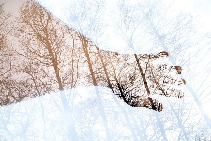 Double exposure stock image. Image of hand, landscape - 51244437