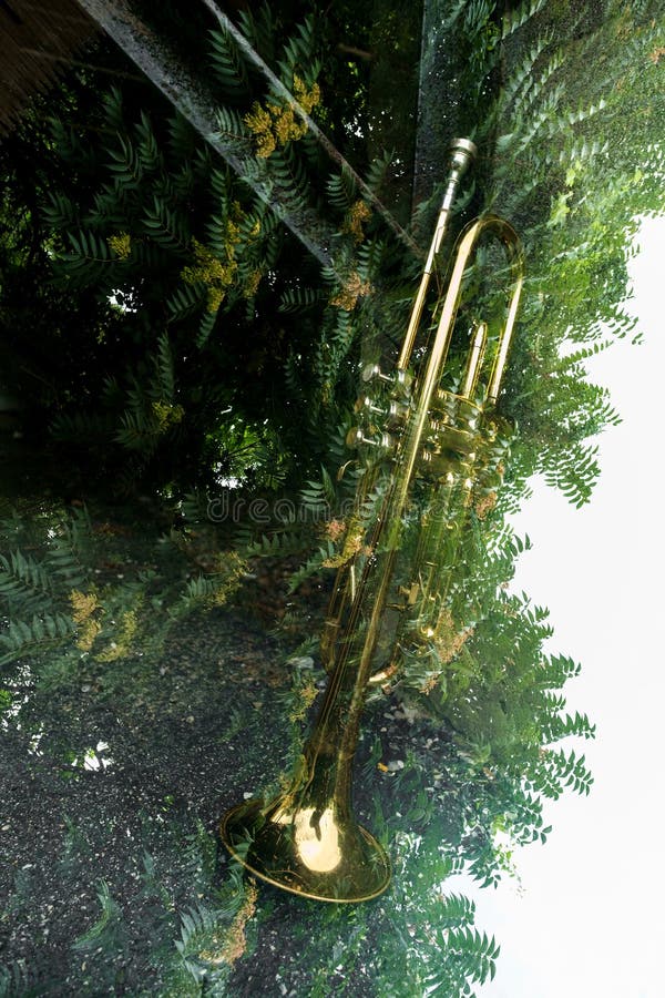 Double Exposure Nature Trumpet Stock Image - Image of band, leaves ...