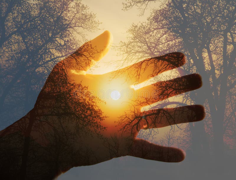 Double Exposure with a Sunrise Behind Trees Stock Image - Image of ...