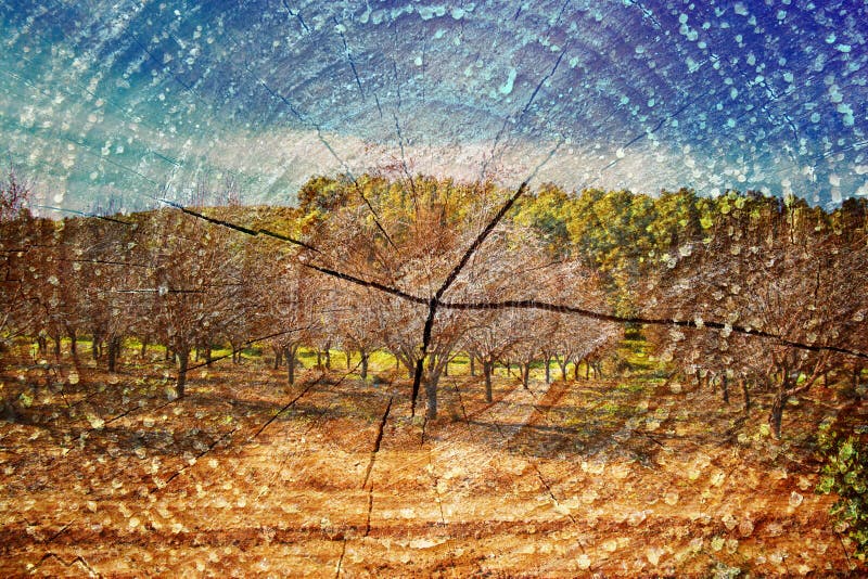 3,424 Double Exposure Tree Stock Photos - Free & Royalty-Free Stock ...