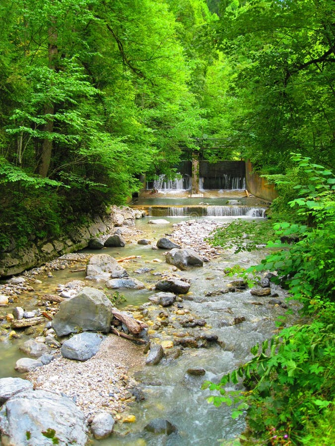 Tel Dan Stream stock image. Image of white, palestinian - 73815757